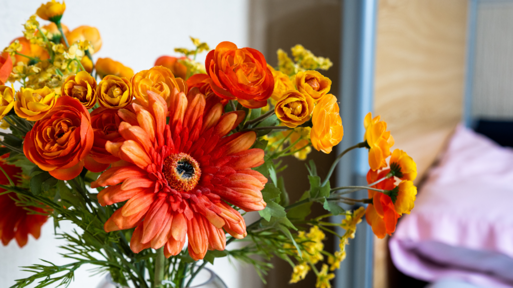 Our Care Home Services | What We Offer - ACI Care
